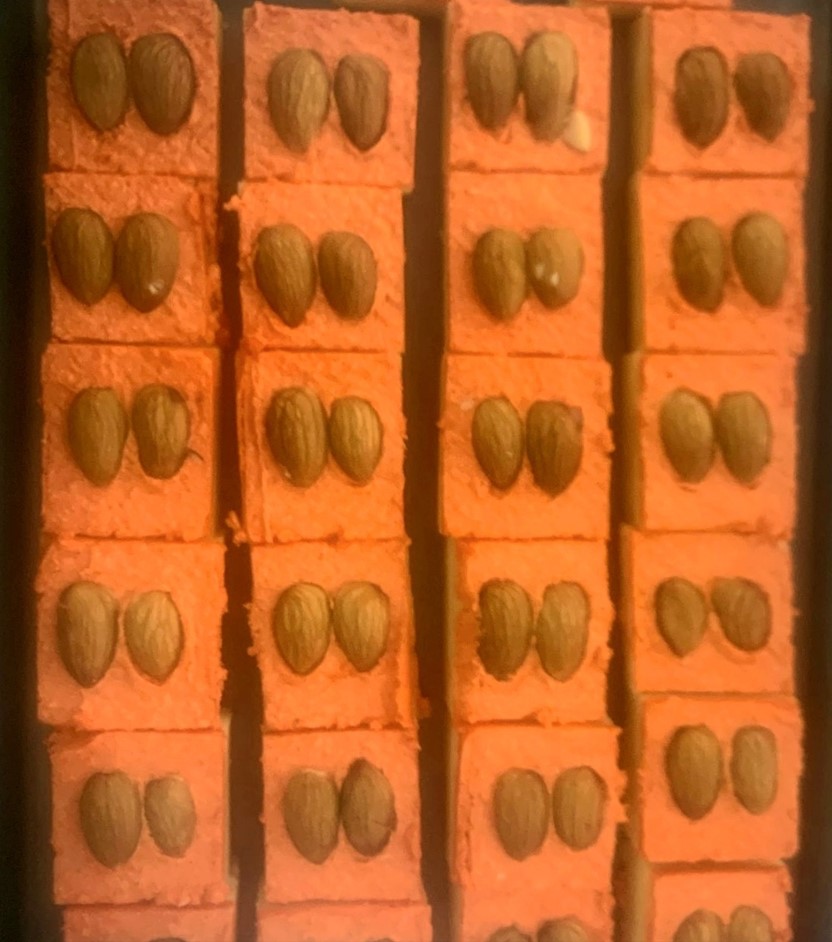 Fresh Almond Bafri 500g - Indian Sweets - ZingStreet Co.,Ltd